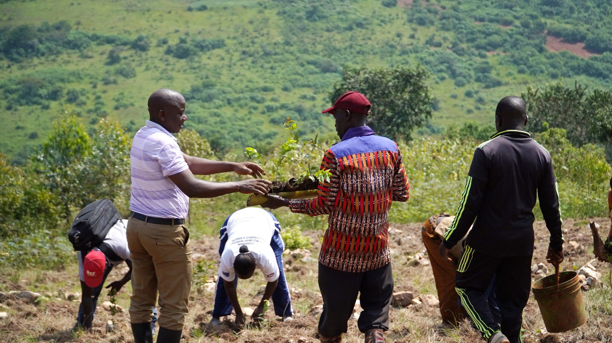 Cultivating unity and peace in Burundi through reforestation ...